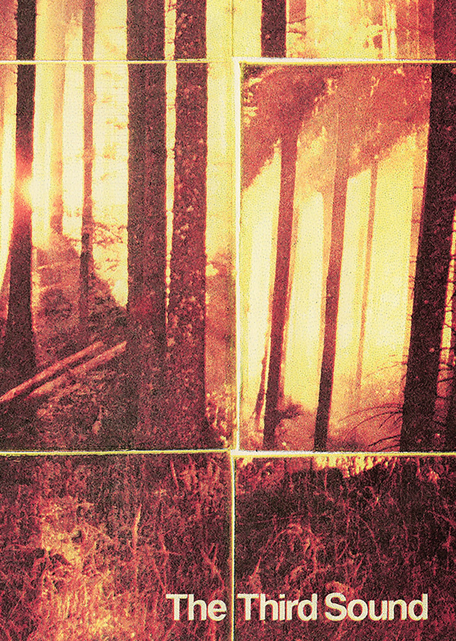 Listings - The Water Rats